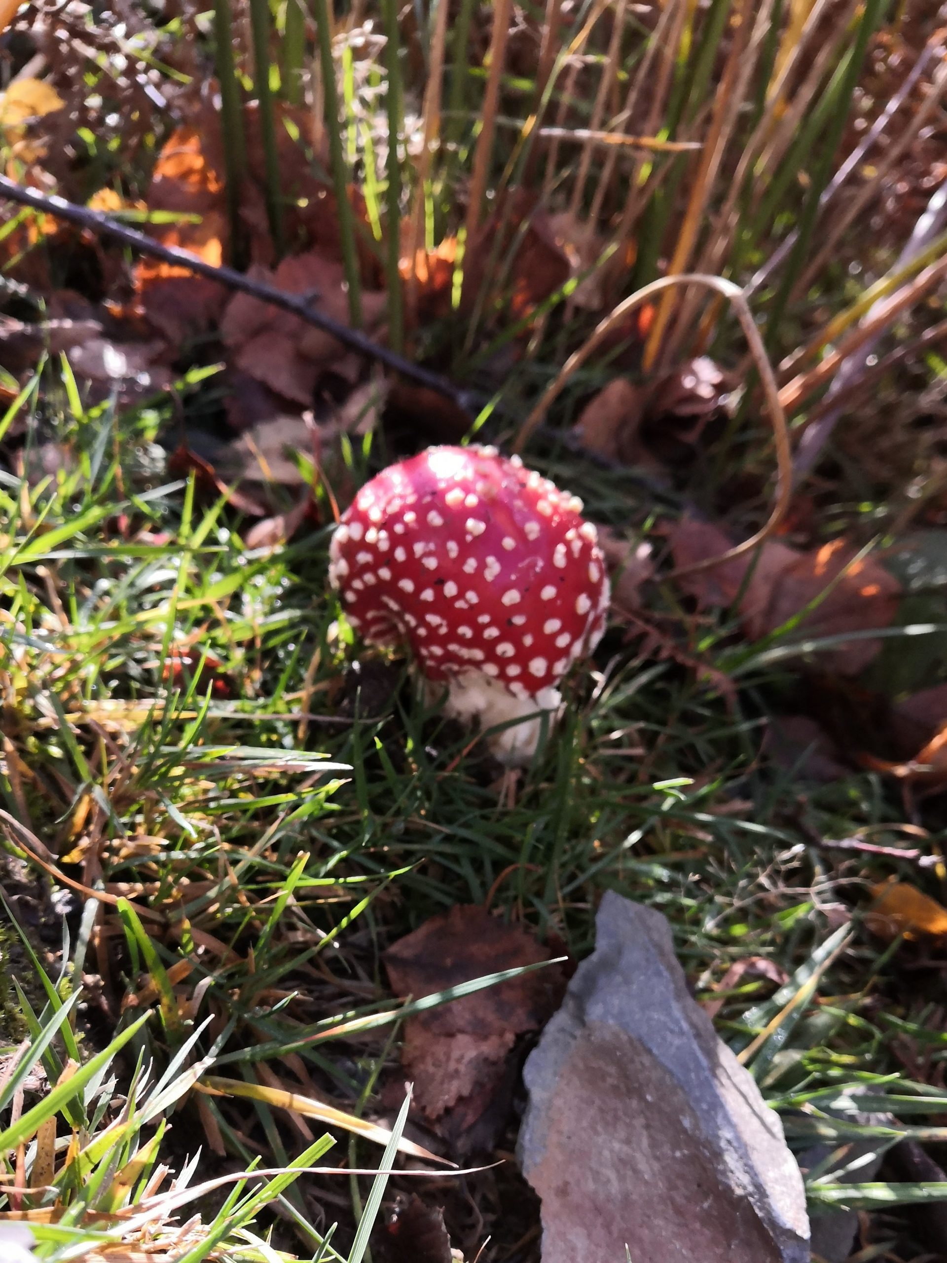 Good Things in Nature - Ways to improve your connection with nature ...