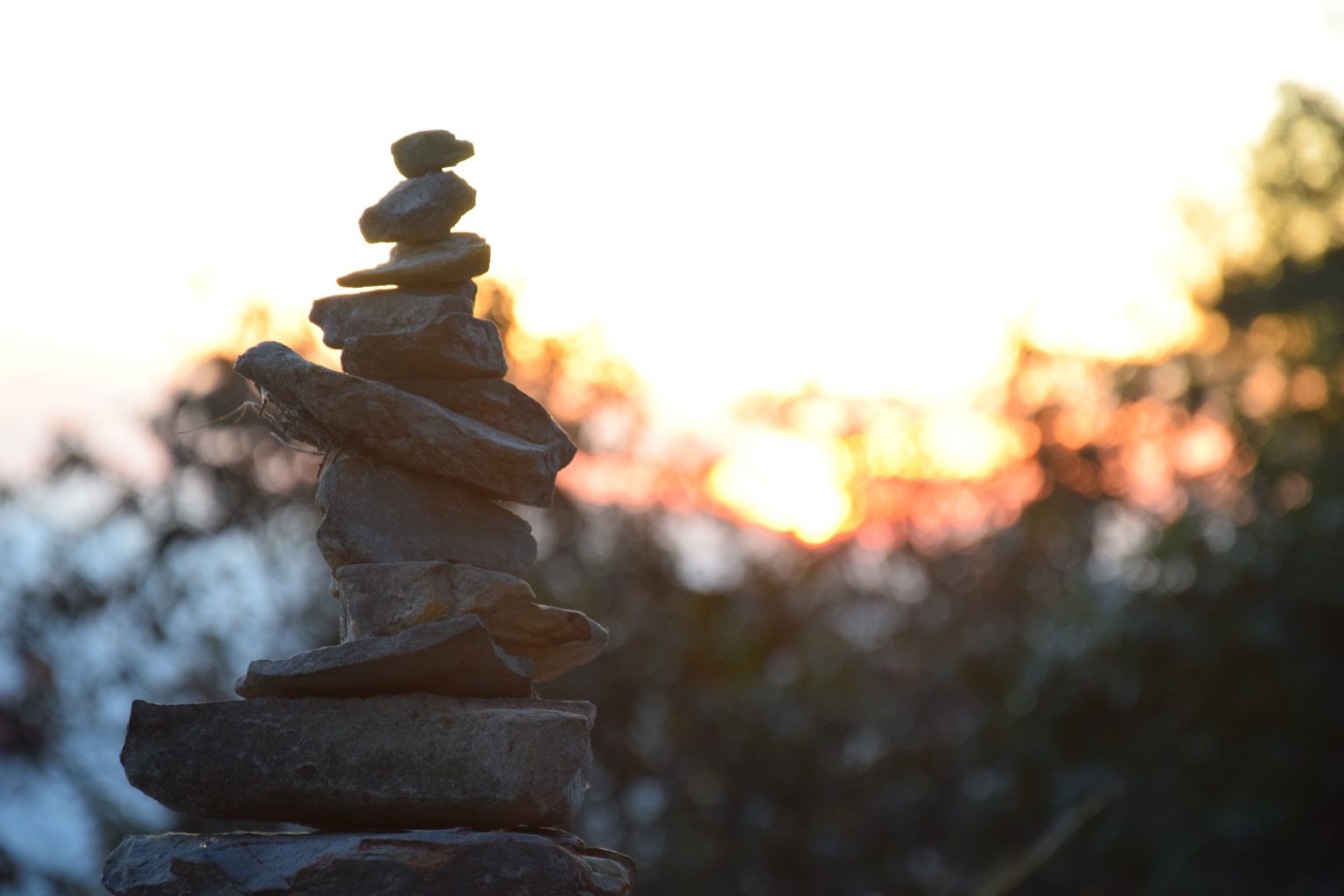 Wild Minds – Nature Connection Through Qigong Blog Series (Week 7 ...